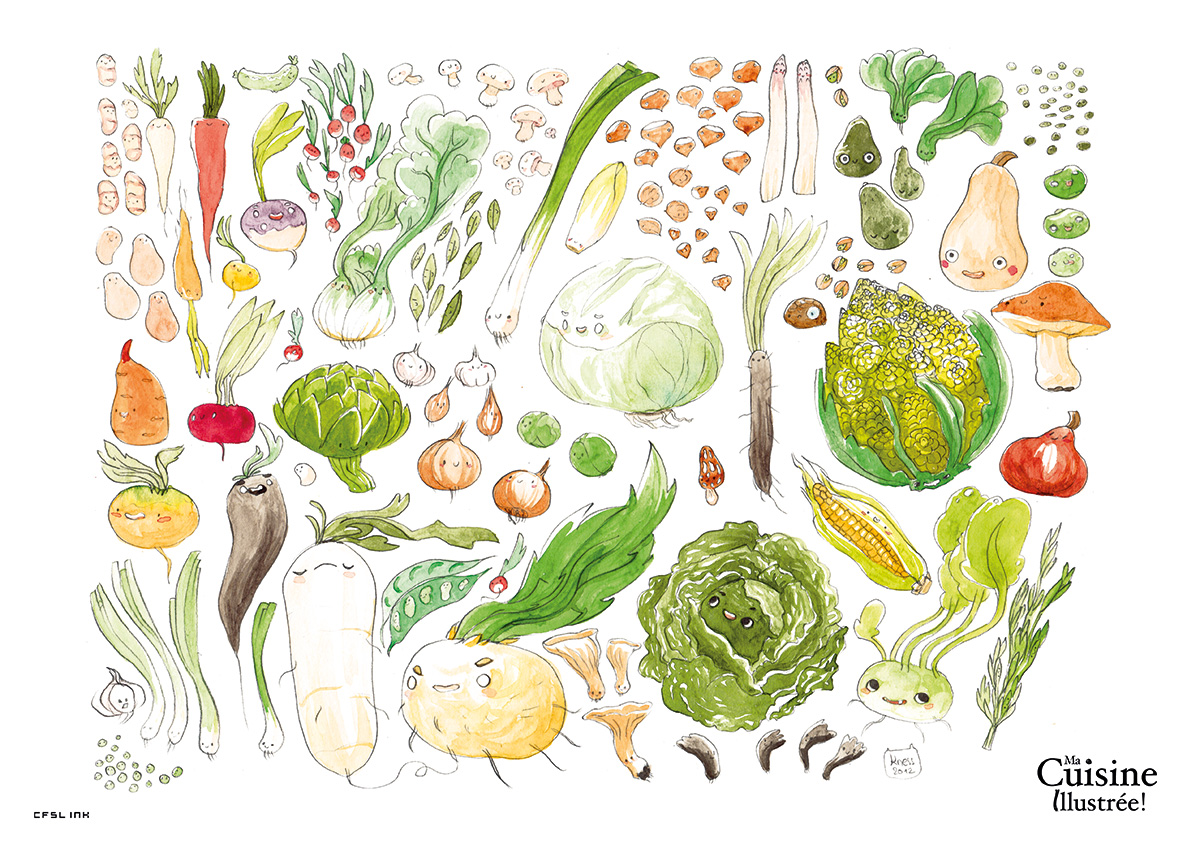 Illustrations Cuisine - Recettes dessinées et légumes de saison - Kness
